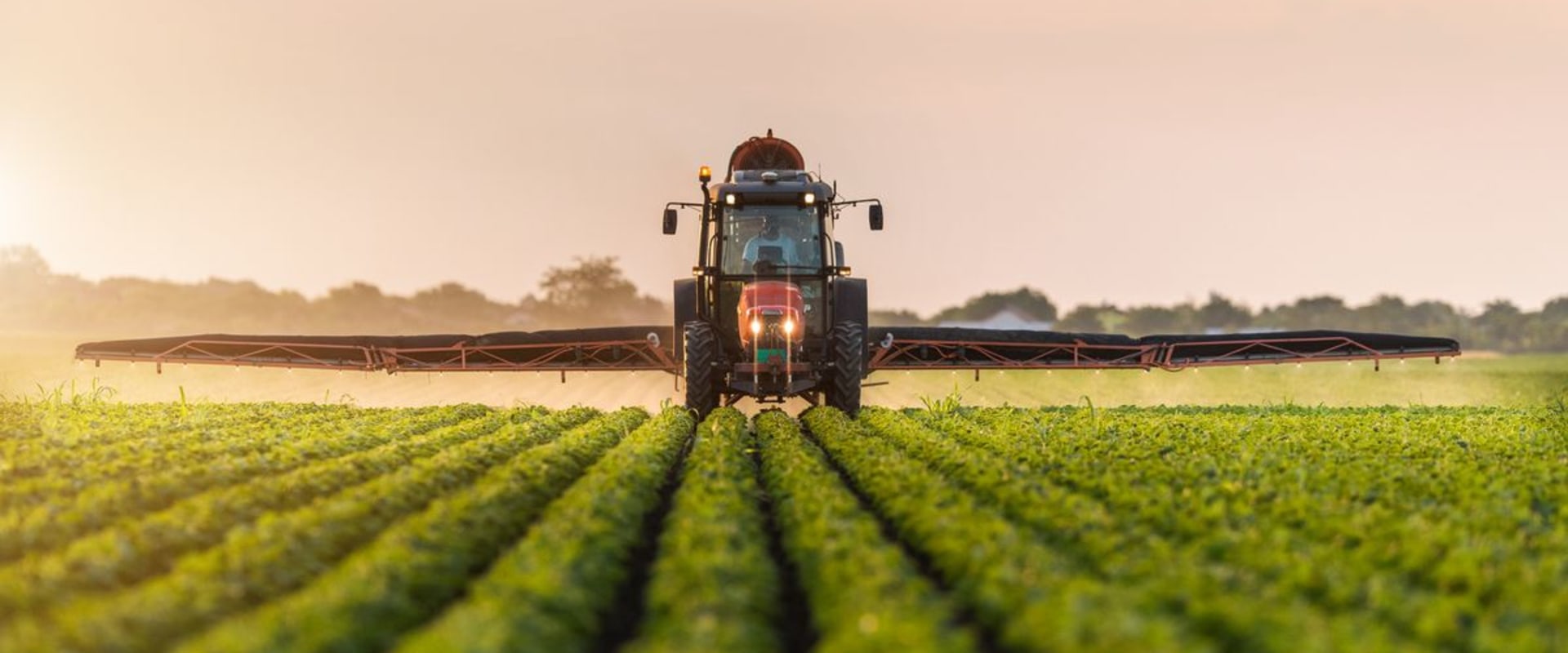 Synthetic Fertilizers: Maximizing Crop Production