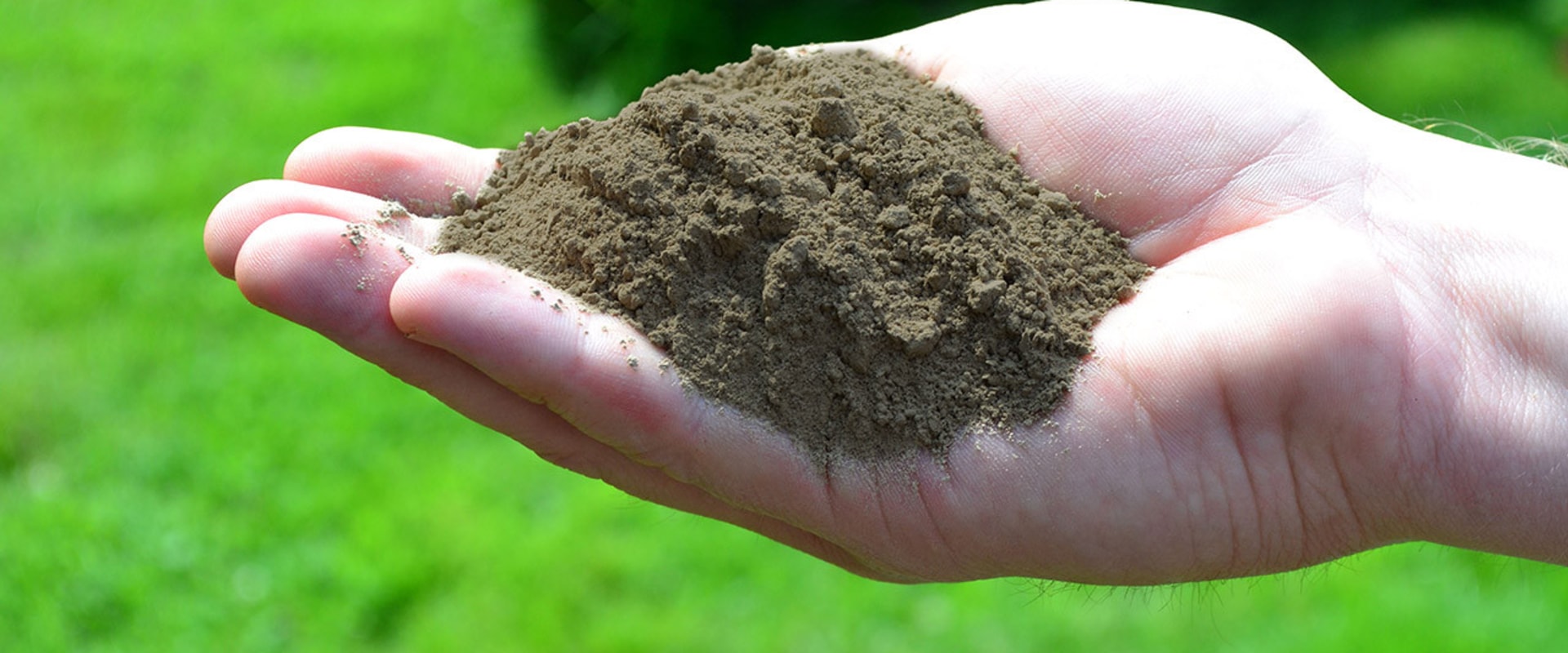 Organic Fertilizers and Amendments: A Comprehensive Overview