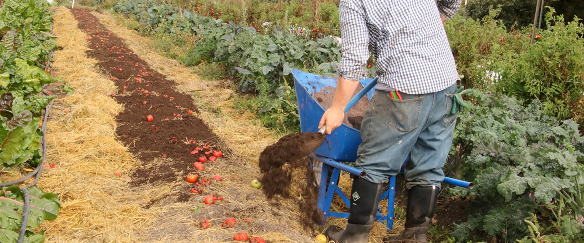 Composting Agricultural Waste: A Sustainable Farming Technique