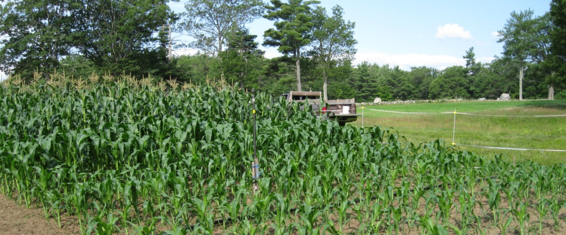 Planting Depth and Spacing for Maximizing Crop Production